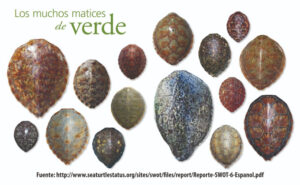 los-muchos-matices-del-verde